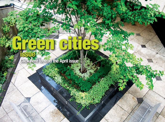 Structural soil - Landscape Ontario