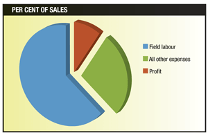 Benchmarking field labour - Landscape Ontario